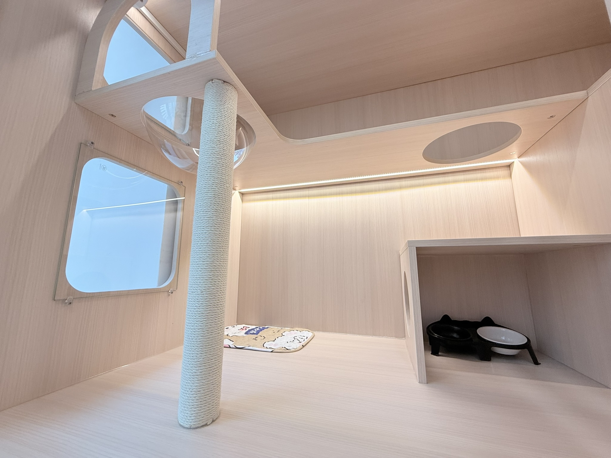 貓酒店房型介紹 - Meow Meow Mi Hotel 喵喵咪酒店 | 觀塘純貓酒店、貓咪寄宿服務