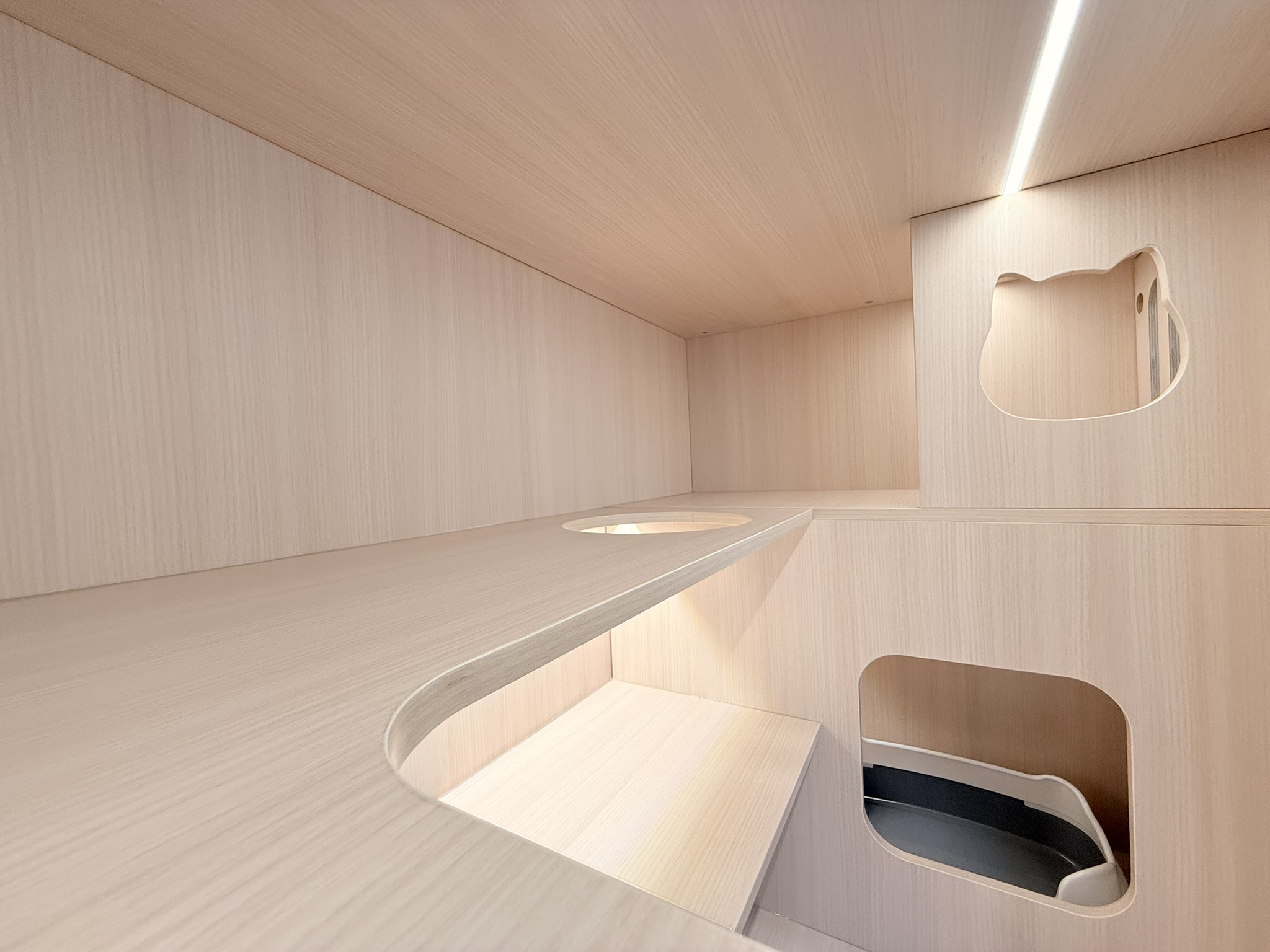 貓酒店房型介紹 - Meow Meow Mi Hotel 喵喵咪酒店 | 觀塘純貓酒店、貓咪寄宿服務