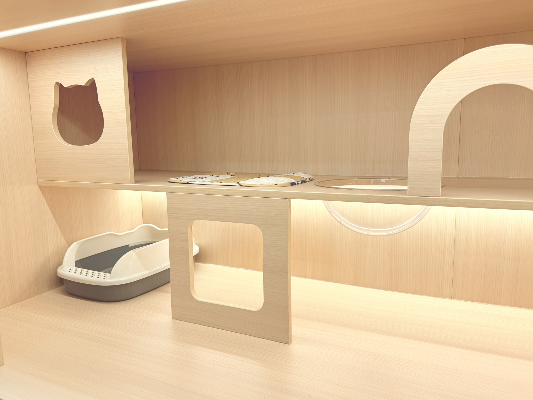 貓酒店房型介紹 - Meow Meow Mi Hotel 喵喵咪酒店 | 觀塘純貓酒店、貓咪寄宿服務